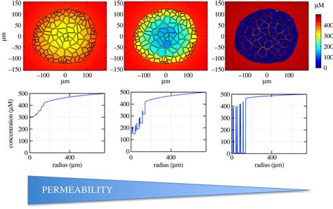 Comsol 5 3 Trial Passcode Myownholden