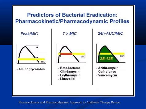 Post Antibiotic Effect 2 Ppt