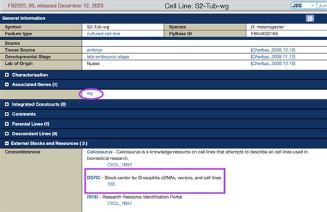 Flybase Flybasemstdnscience Mstdnscience