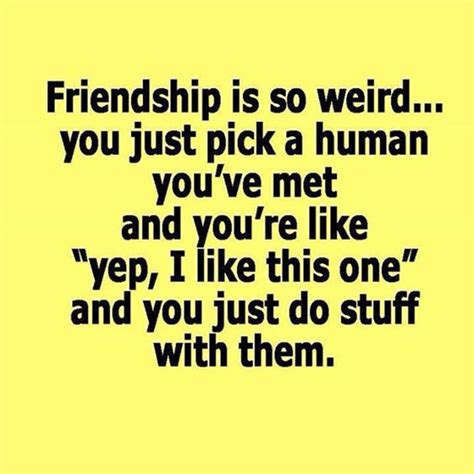 50 Best Funny Friendship Quotes And Captions For Best Friends Yourtango