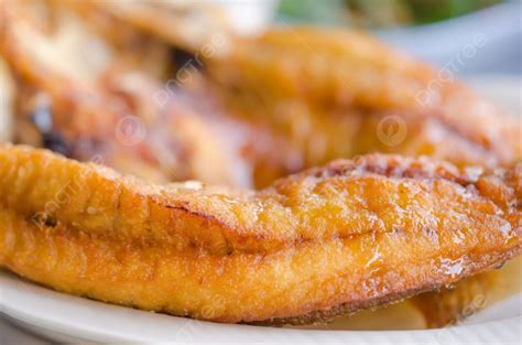 Fish Dish Close Up Fish Dish Deep Fried Fish Photo Background And