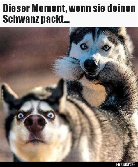 Dieser Moment Wenn Sie Deinen Schwanz Packt Debestede