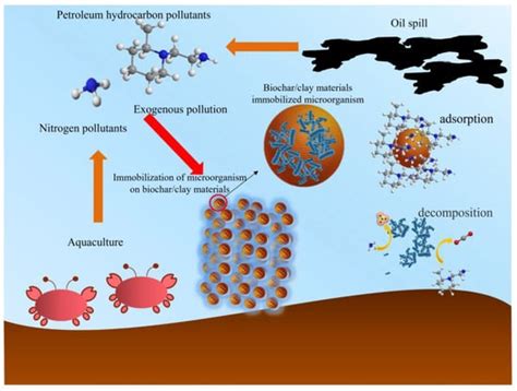 Biocharclay Composite Particle Immobilized Compound Bacteria