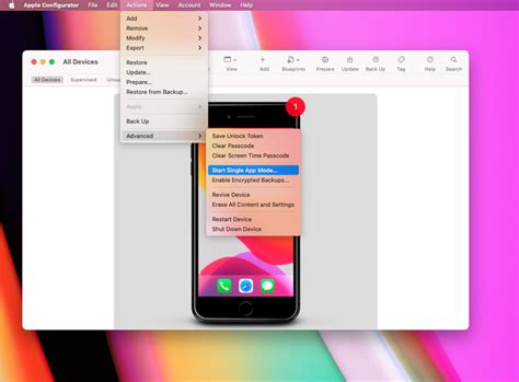 How To Use Single App Mode With Camo On IOS