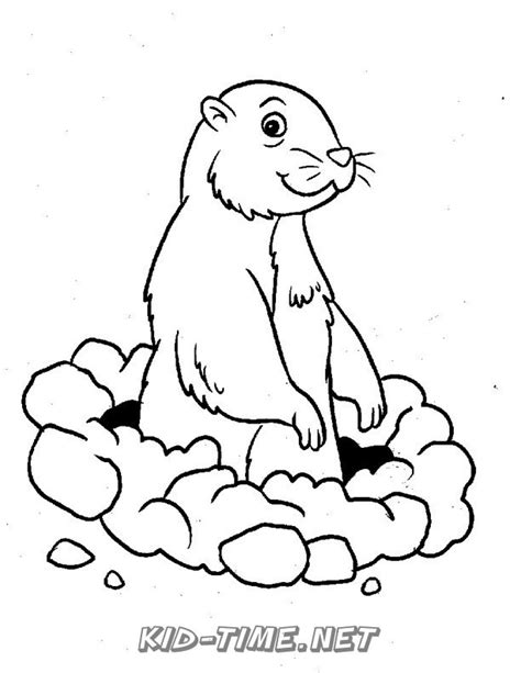 Gopher Coloring Pages