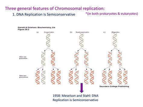 Bio108 Cell Biology Lec 5 Dna Replication Repair And Recombination Ppt