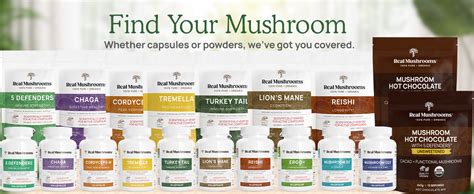 Real Mushrooms 5 Defenders Mushroom Complex Powder