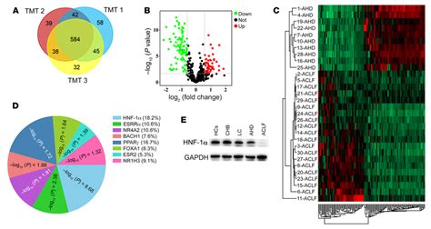 Bioinformatics Analysis Of Proteomics Data A Venn Diagram Of The 3