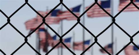 Red Tribe Sensemaking