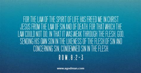The 3 Laws In Our Being And The Function Of The Law Of Life