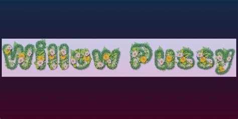 Willow P Onlyfans Weapngwillow Review Leaks Videos Nudes