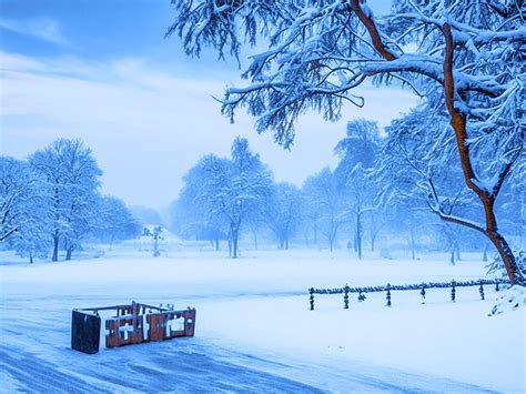 Premium Photo Winter Background