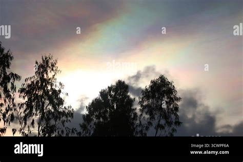 Iridescence Sky Phenomenon And Treetops Time Lapse Stock Video Footage