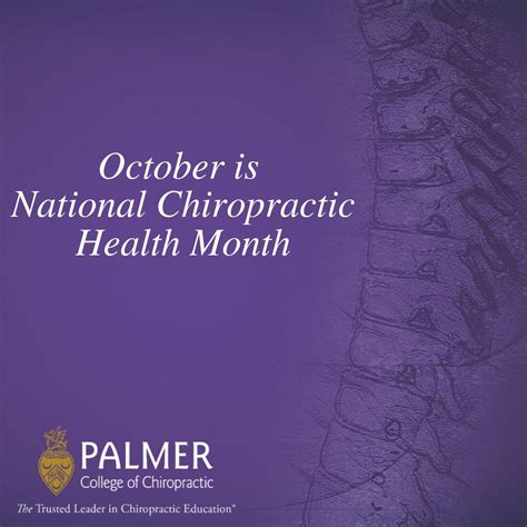 Liz Struble On Linkedin Chiropractic Dr Wellnesscenter Chiropractor College Boise Cme…