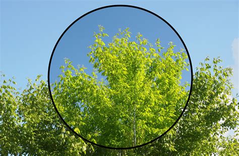 Using Polarising Filters Expert Hints And Tips Clifton Cameras Using Polarising Filters Expert Hints And Tips Clifton Cameras