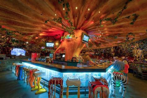 Rainforest Cafe Interior Design