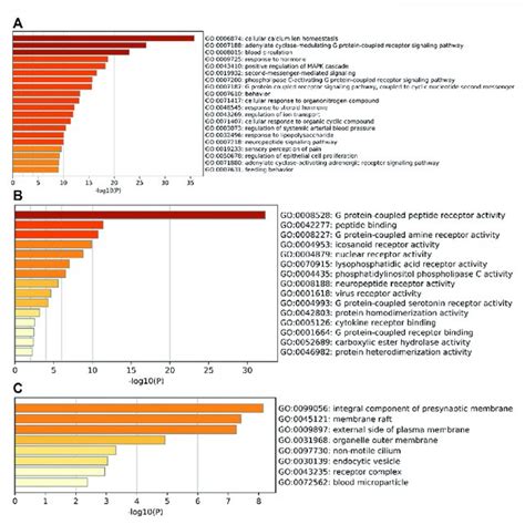 Bar Graph Of GO Gene Function Annotation A BP B MF C CC Download Scientific Diagram