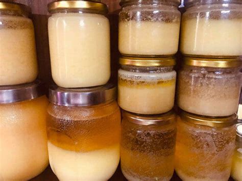 Cow Ghee At Best Price In Pune Maharashtra Arogya Sanjivani