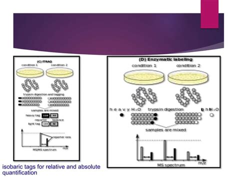Genomics And Proteomics In Drug Discovery And Development Pptx