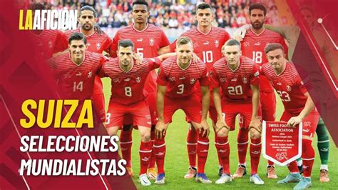 Perfil De La Selección De Suiza Jugadores Director Técnico Y