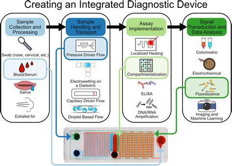 Medical Diagnostics Microfluidic Chip At Edwin Hare Blog