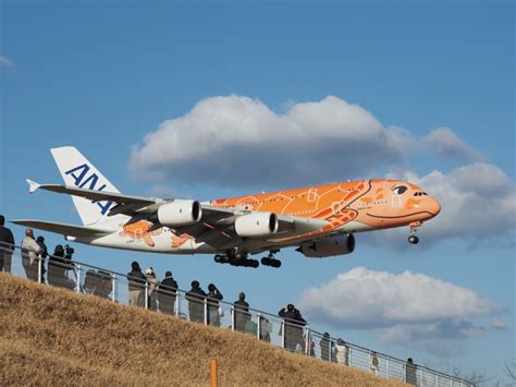 本日の成田さくらの山 お出迎え By いとまくん （id：12806684） 写真共有サイトphotohito
