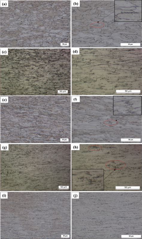 Microstructure Of Cryorolled Low Carbon Steel At Various Thickness