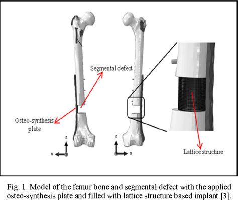 Figure 1 From Lattice Modeling And Finite Element Simulation For Additive Manufacturing Of