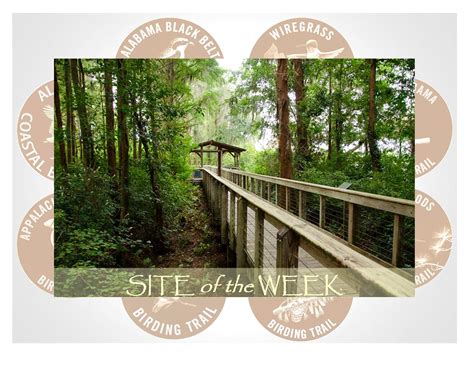 Wiregrass Birding Trail Home Facebook