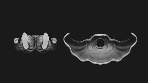 Piccolo Dragon Ball 3d Model Ready To Print Stl Files