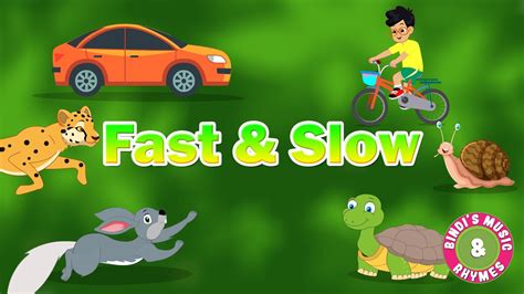 fast and slow concepts educational rhymes bindi s music and rhymes youtube