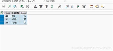 Abap下的open Sql操作（增，删，插，改） Csdn博客