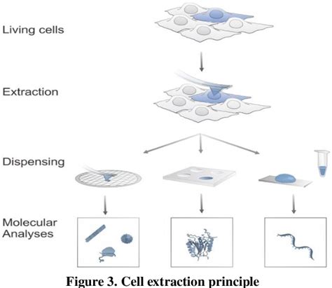 Figure 1 From Cell Extractor Semantic Scholar