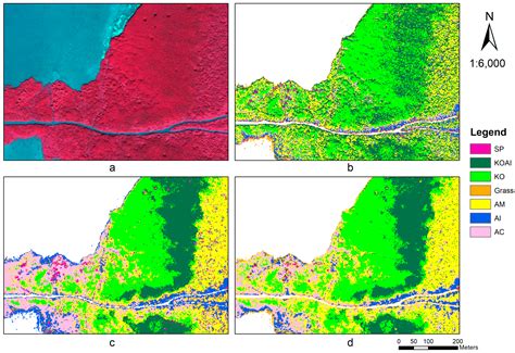 Remote Sensing Free Full Text Classification Of Mangrove Species Using Combined Wordview 3