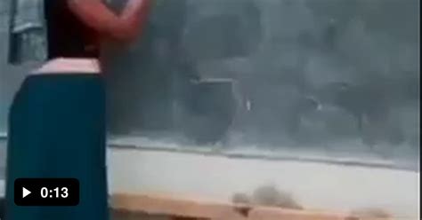 Education GAG