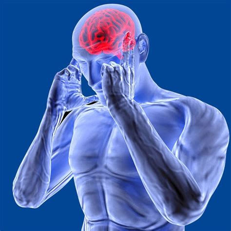 P Dtr Proprioceptive Deep Tendon Reflex — проприоцептивный глубокий