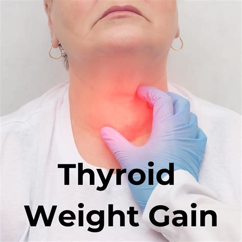 Thyroid Weight Gain Lets Fix Your Thyroid Health 4 Good
