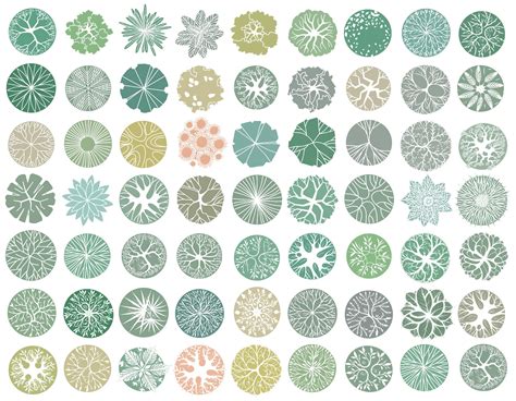 Procreate Tree Brush Set Tree Stamp Set Procreate Brush Pack Landscape Element Brush