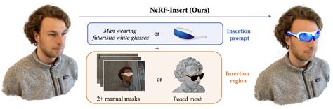 Nerf Insert 3d Local Editing With Multimodal Control Signals
