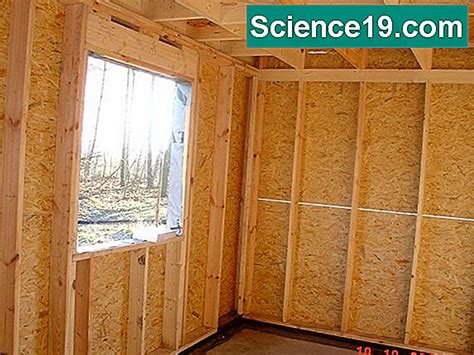 Zalety I Wady Szkieletu Hydrostatycznego 💫 Naukowe I Popularne Portal