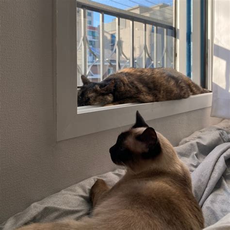 깡통 전세 탈출하기2 계약 해지의 증명중도 해지 합의서 네이버 블로그