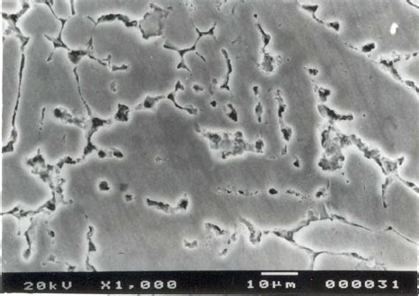 Sem Micrograph Of 75 Cold Rolled Alloy 1 Aged At 300 O C For 1 Hour
