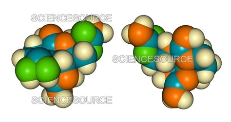 Molecular Model Saxitoxin Stock Image Science Source Images