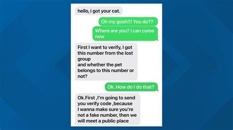 Verification Code Scam Is Targeting Lost Pet Groups Online