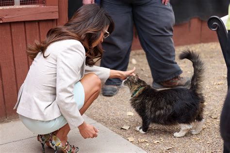 Sexy Lauren Boebert Rwomenoftheright