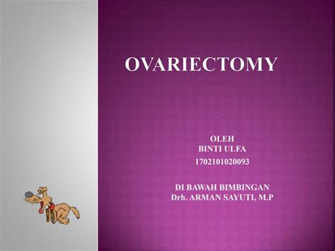 Ovariectomy Pada Anjing Pptx