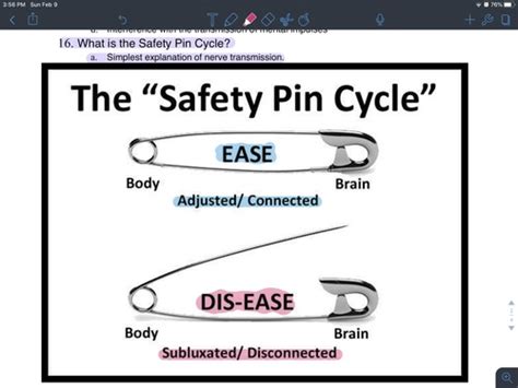 Midterm Flashcards Quizlet
