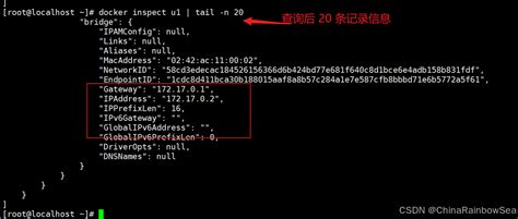 12 docker 网络 bridge，host，none，container，自定义网络 配置操作详解 知乎