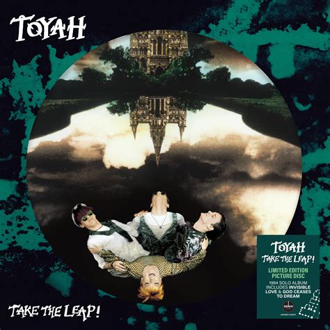 Toyah Take The Leap Lp Picture Disc Vinyl Album