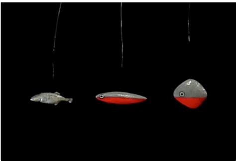 Behaviour Lecture 1 Introduction To Learning Prediction And Control Flashcards Quizlet